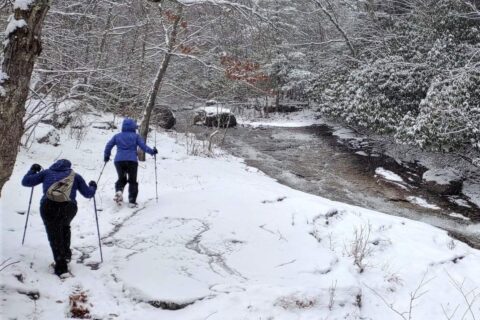 Winter Hiking at Vosburg Neck State Park | Endless Mountains Heritage ...